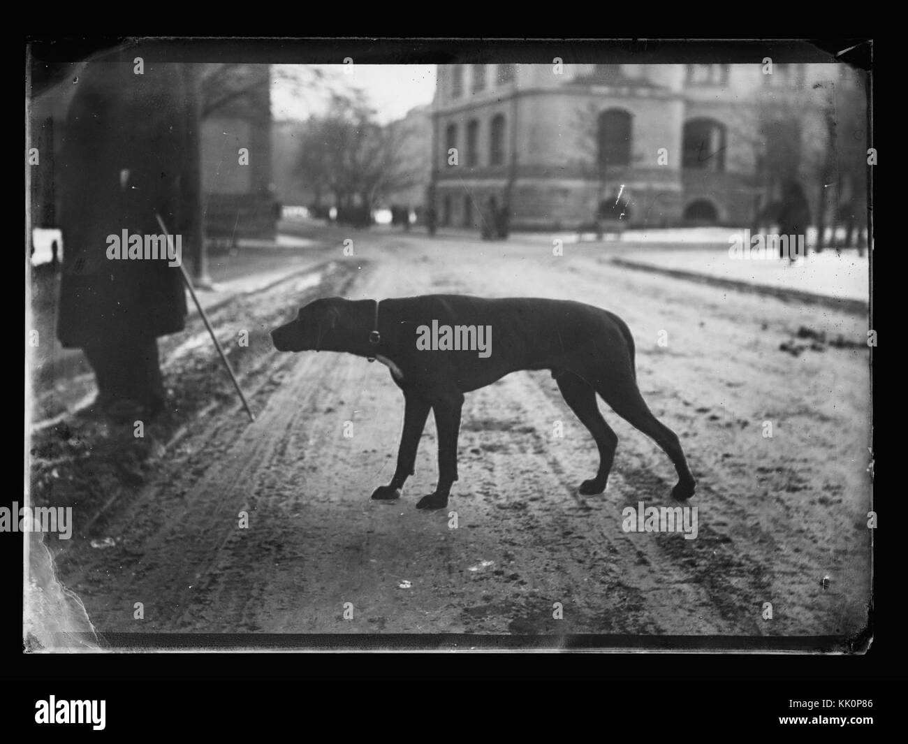 Dr no book cover hi-res stock photography and images - Alamy