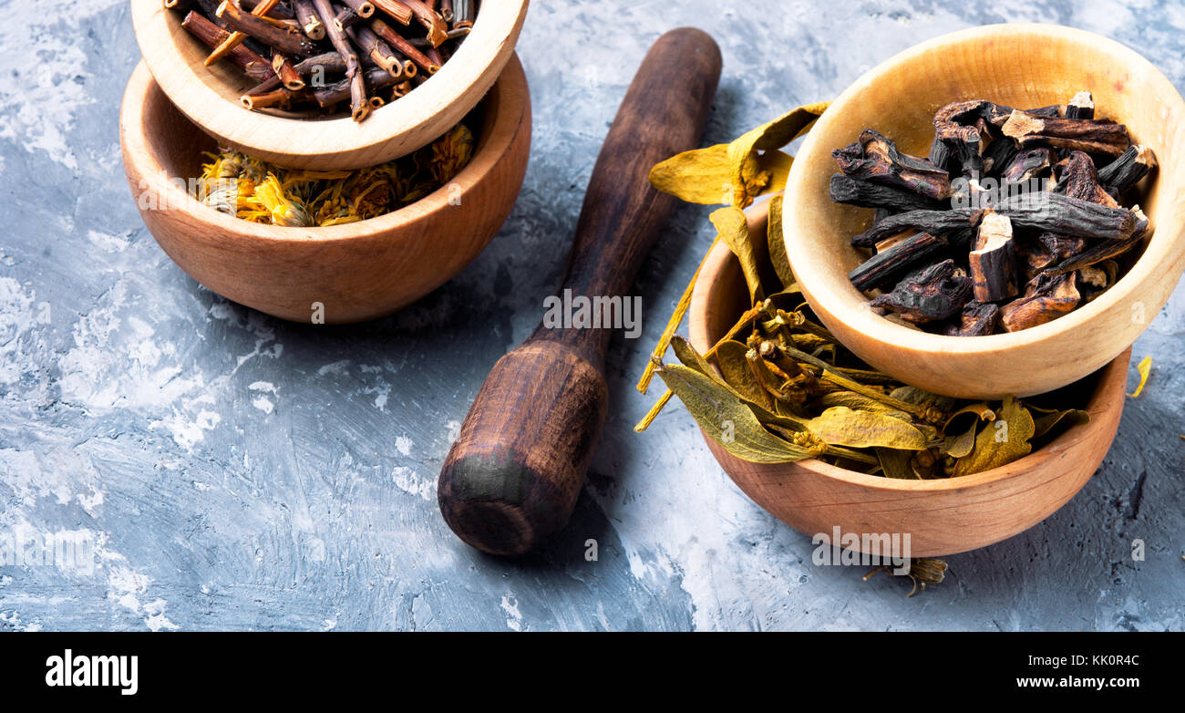 Healing herbs, plants and roots in wooden pots Stock Photo - Alamy