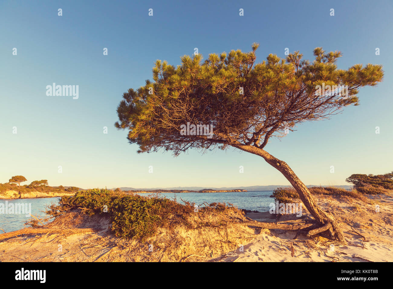 Gorgeous beach in Greece Stock Photo - Alamy