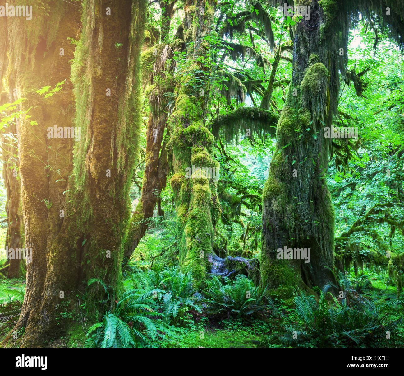 green forest Stock Photo - Alamy