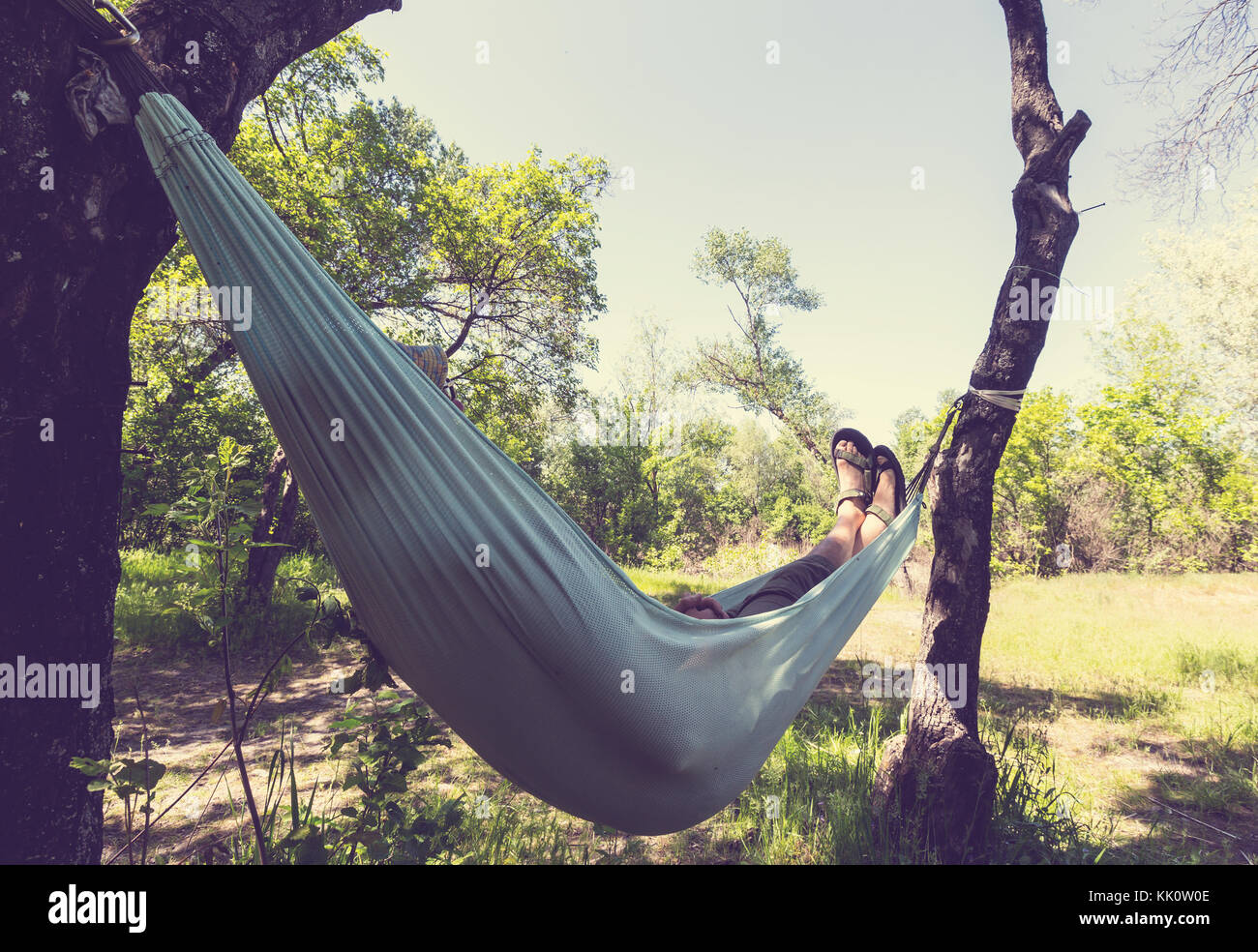 Empty hammock forest hi-res stock photography and images - Alamy