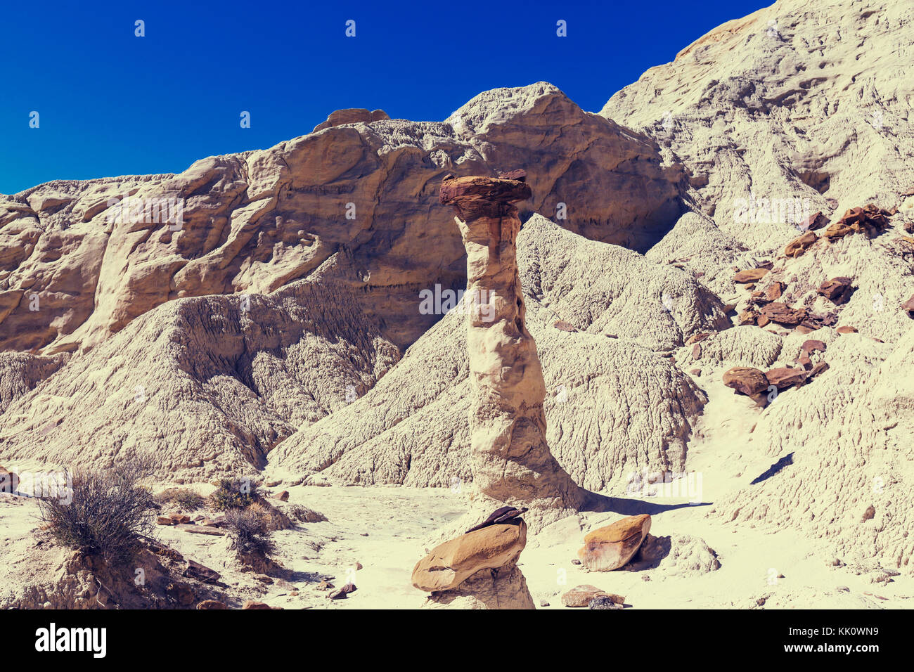 Toadstool hike hi-res stock photography and images - Alamy