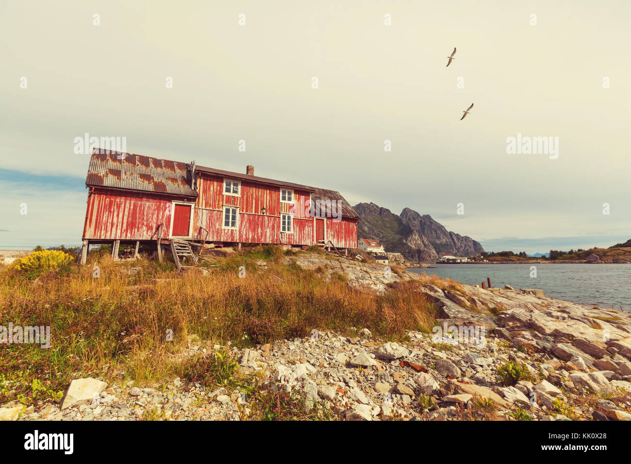 Wooden house on Lofoten island, Norway Stock Photo - Alamy