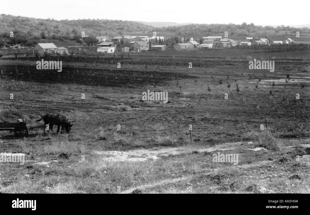 Hassidim hi-res stock photography and images - Alamy