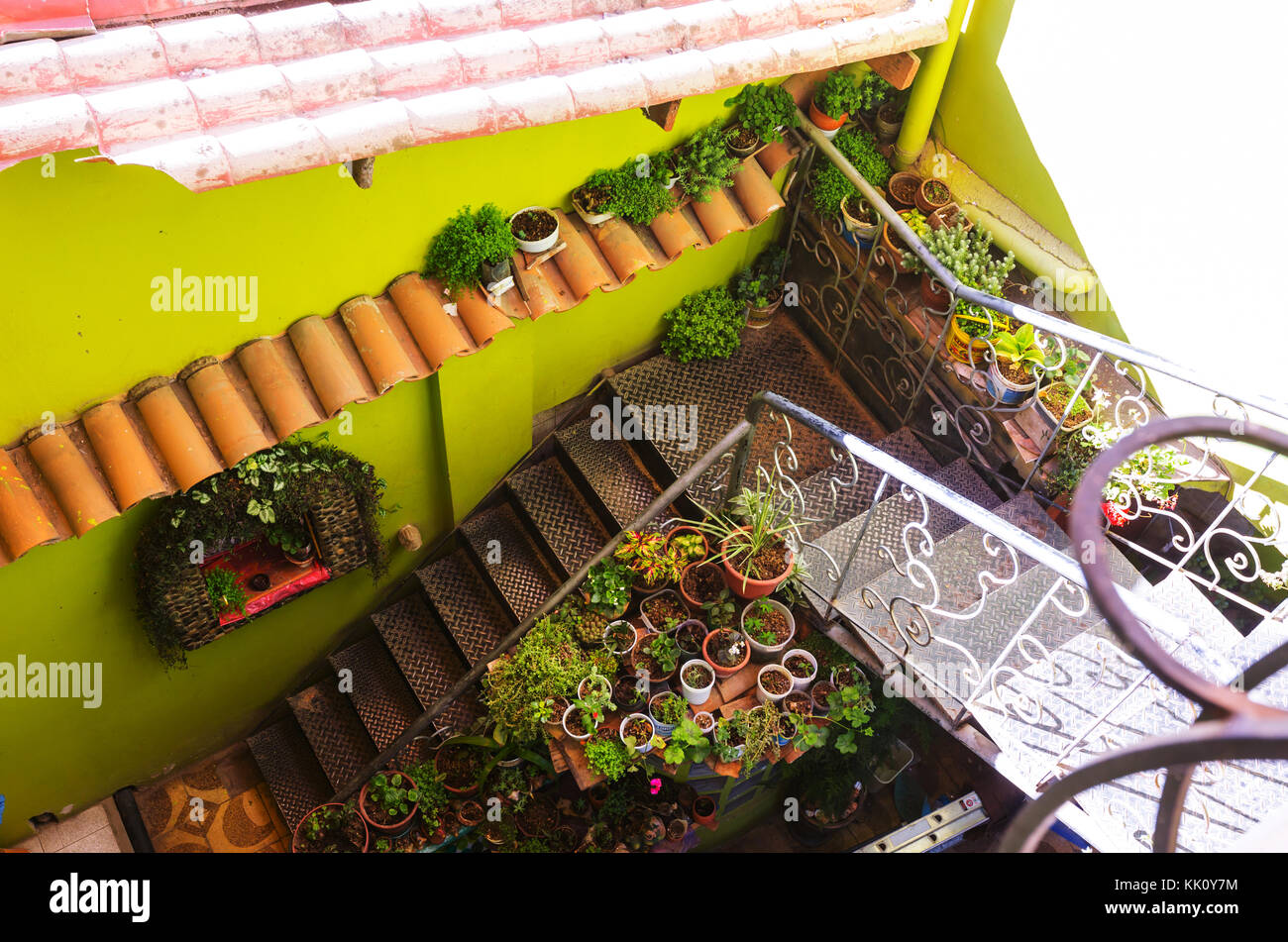 building with inner garden with potted plants Stock Photo - Alamy