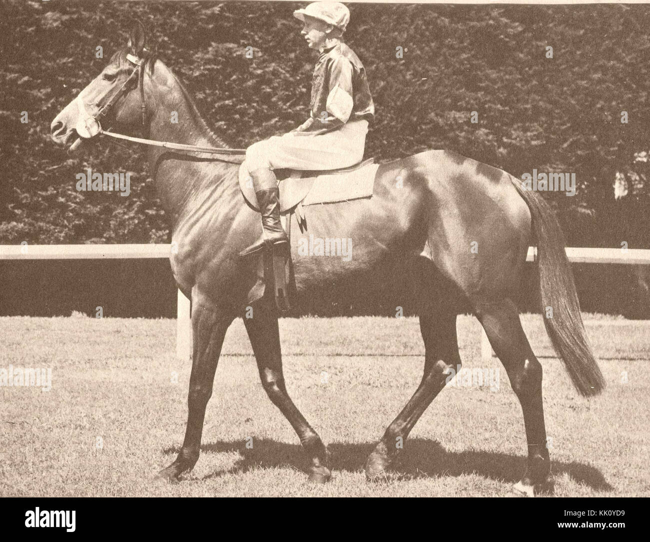 Hi Jinx (NZ Stock Photo - Alamy
