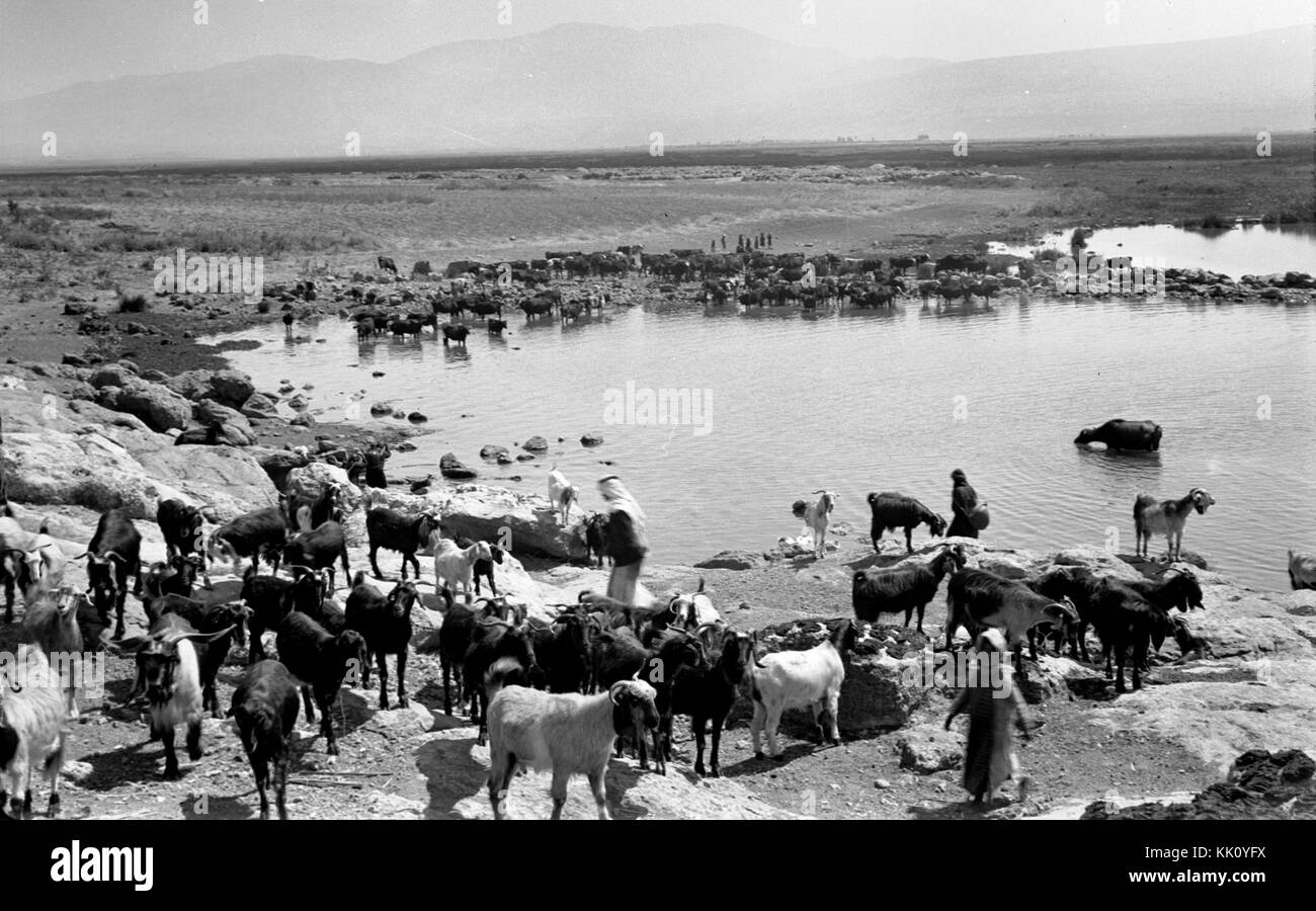 Lake district landscape view Black and White Stock Photos & Images - Alamy