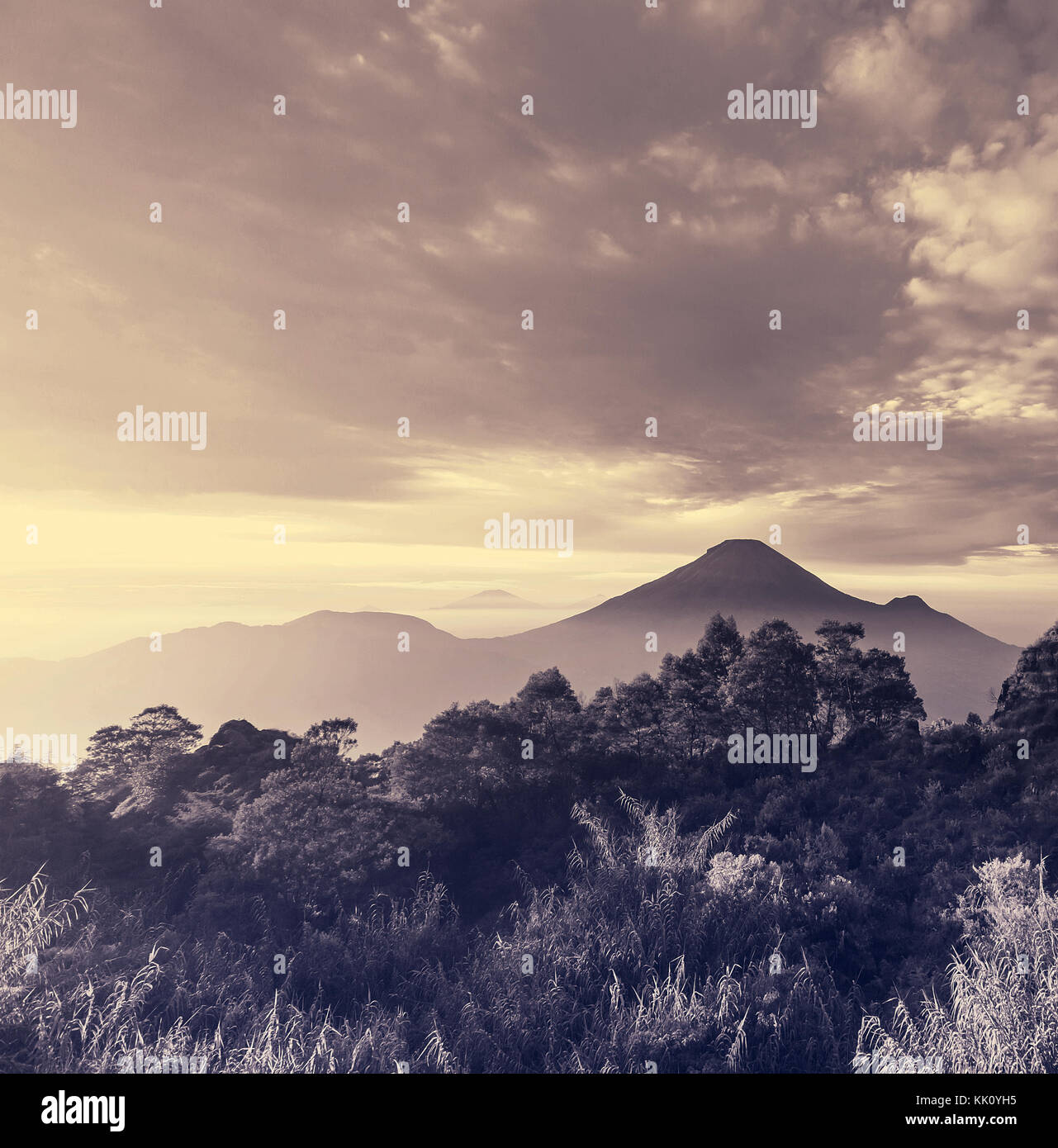 Java landscapes Stock Photo - Alamy