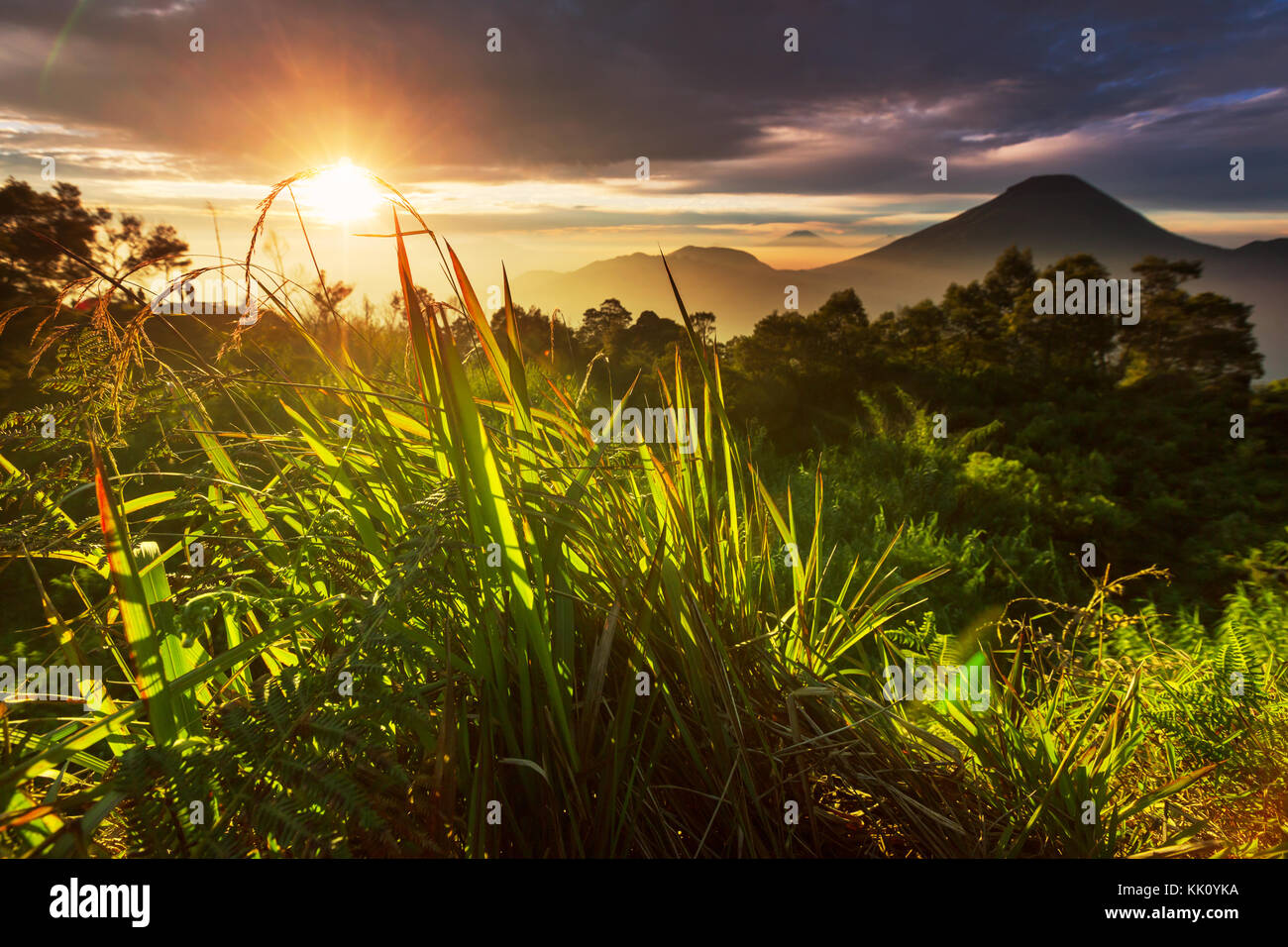 Java landscapes Stock Photo - Alamy