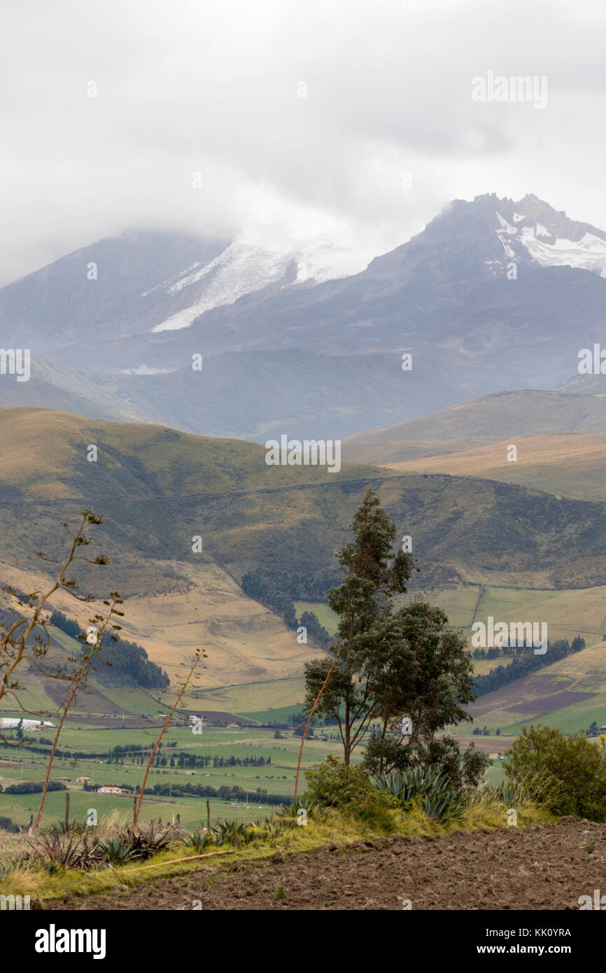 Cayambe Volcano, third highest peak in Ecuador, Ecuador, South America ...