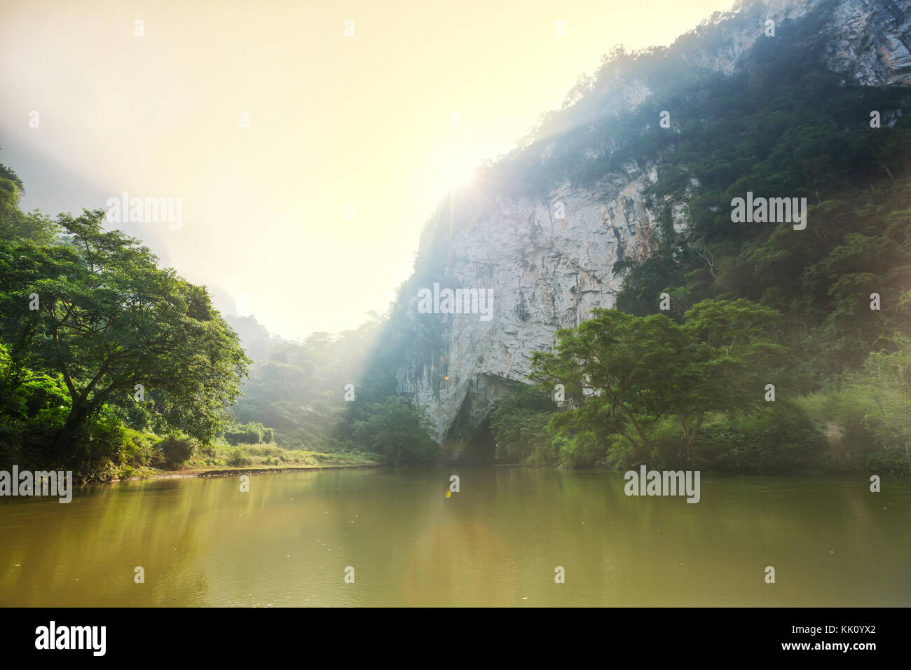 jungle in Vietnam Stock Photo - Alamy