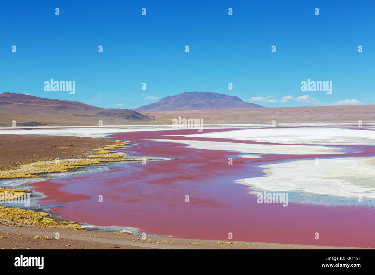 Laguna Colorada in Bolivia Stock Photo - Alamy