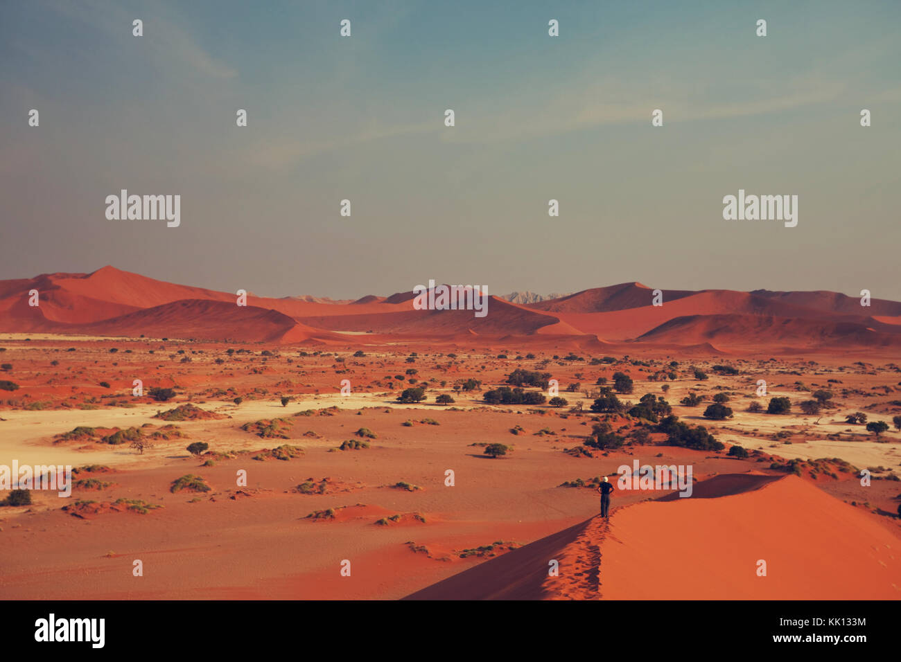 Sand dunes in Namib desert Stock Photo - Alamy
