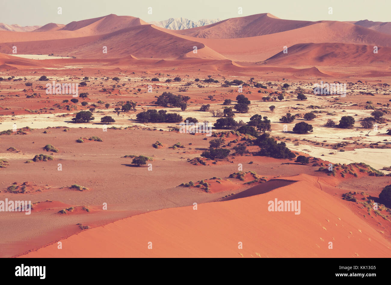 Dead valley in Namibia Stock Photo - Alamy