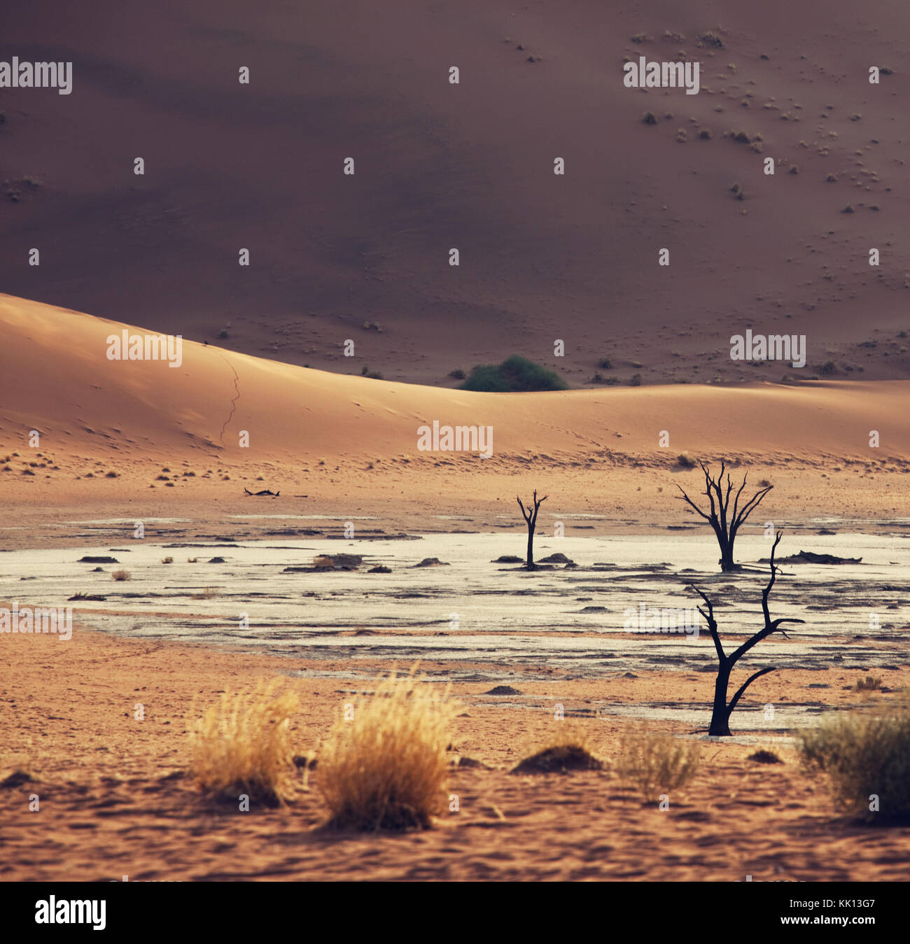 Dead valley in Namibia Stock Photo - Alamy