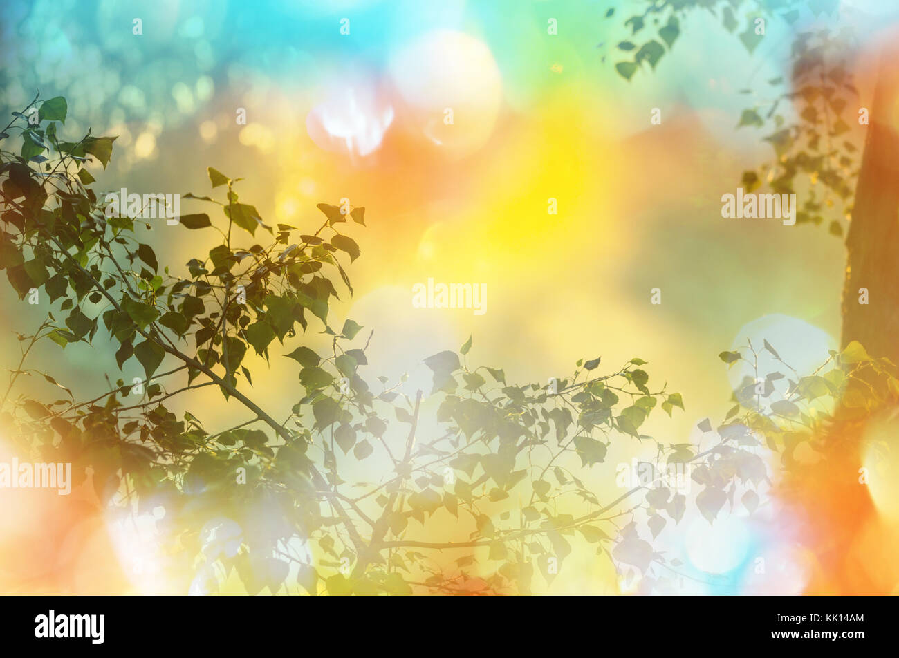 Summer background with tree leaves Stock Photo - Alamy