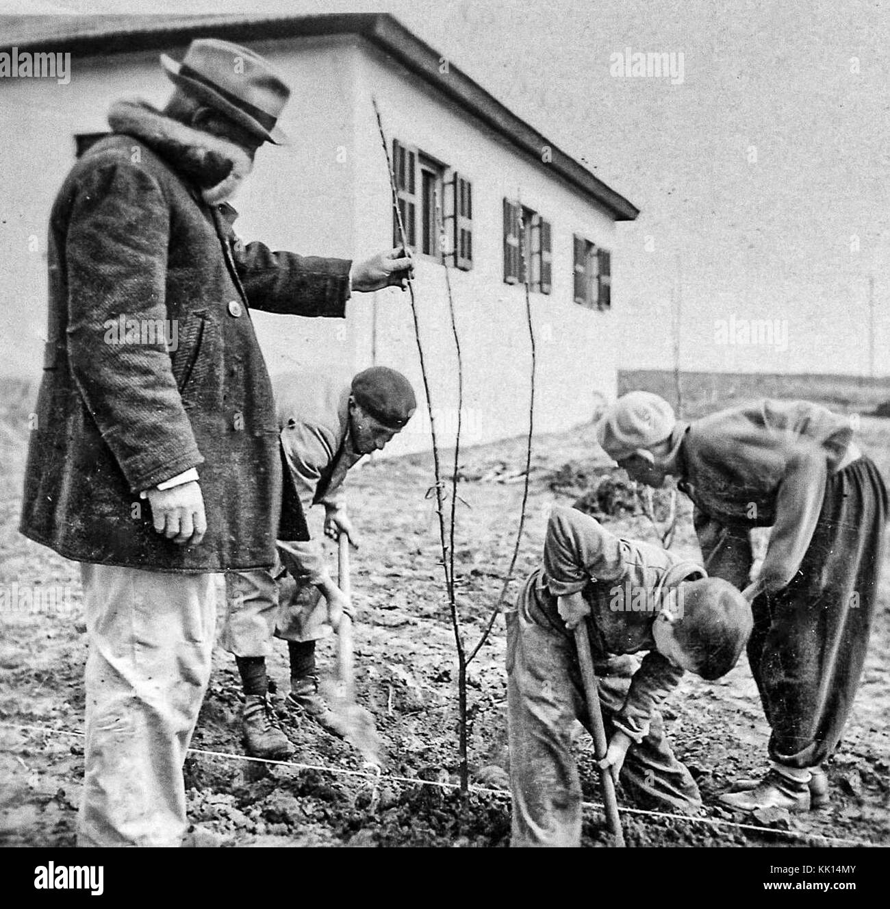 Fruit planting Black and White Stock Photos & Images - Alamy