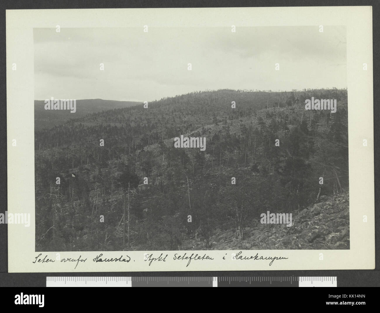 Landskapsbilde med strandlinje sete fra hanestad i osterdalen hi-res ...
