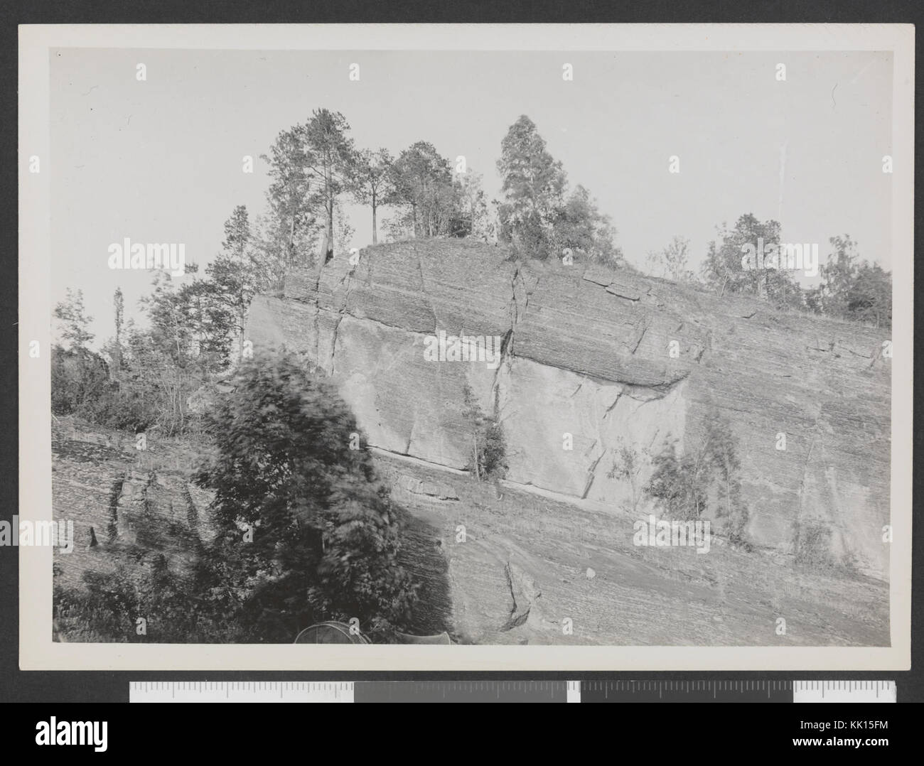 Landskapsfotografi med bl a furu hi-res stock photography and images ...