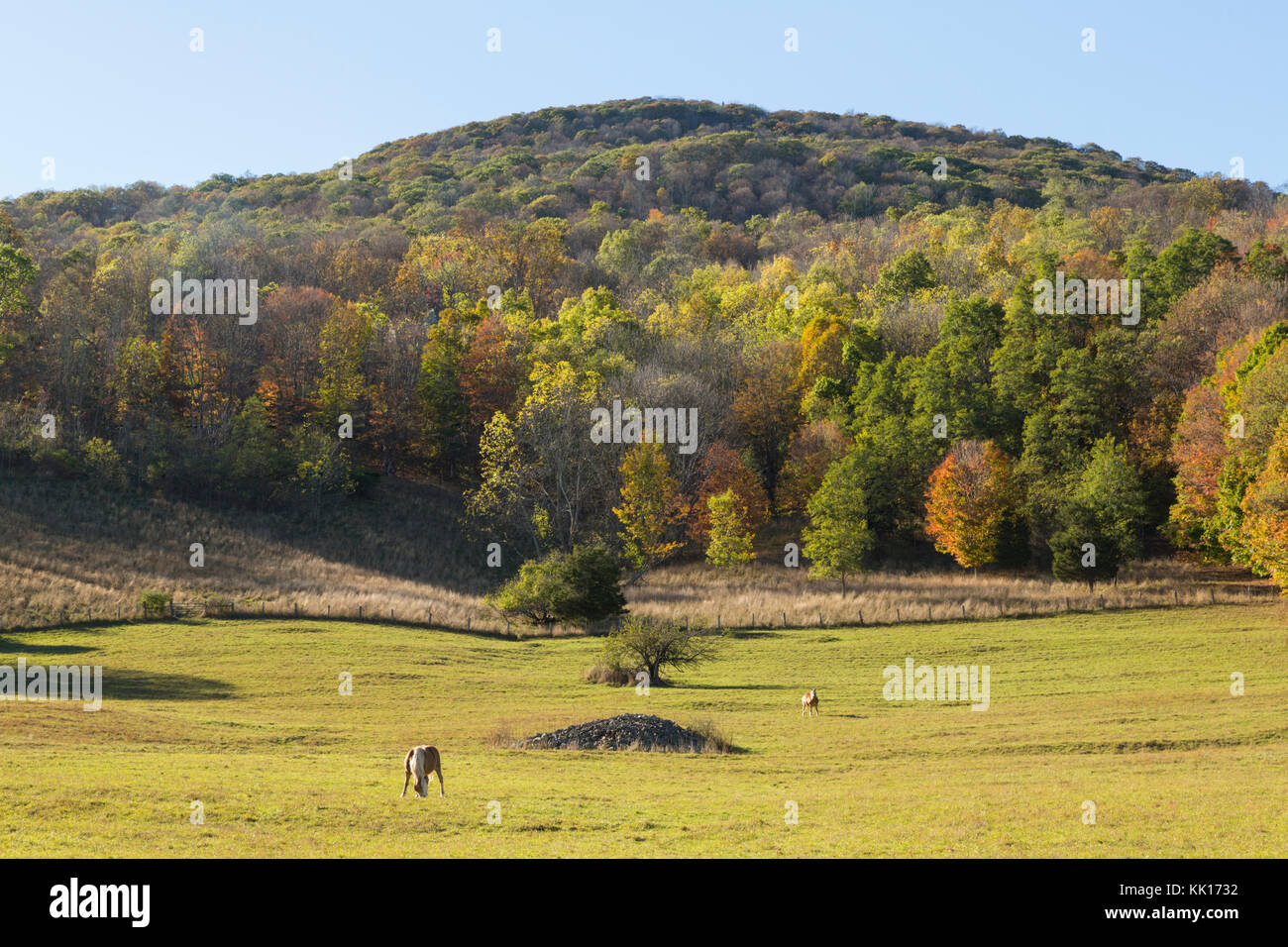 Autumn Colour in West Virginia Stock Photo - Alamy