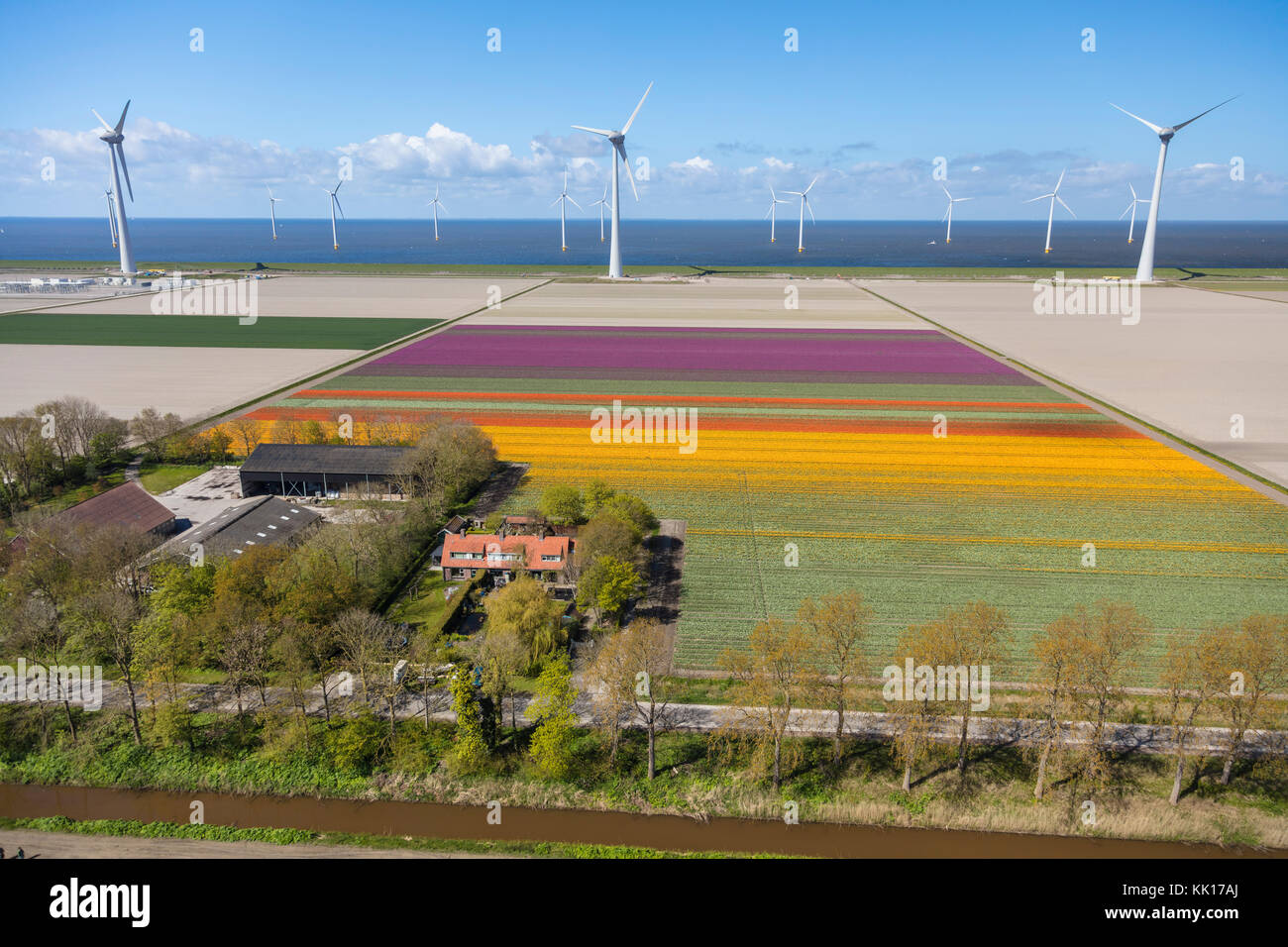 Aerial view of tulip fields hi-res stock photography and images - Alamy