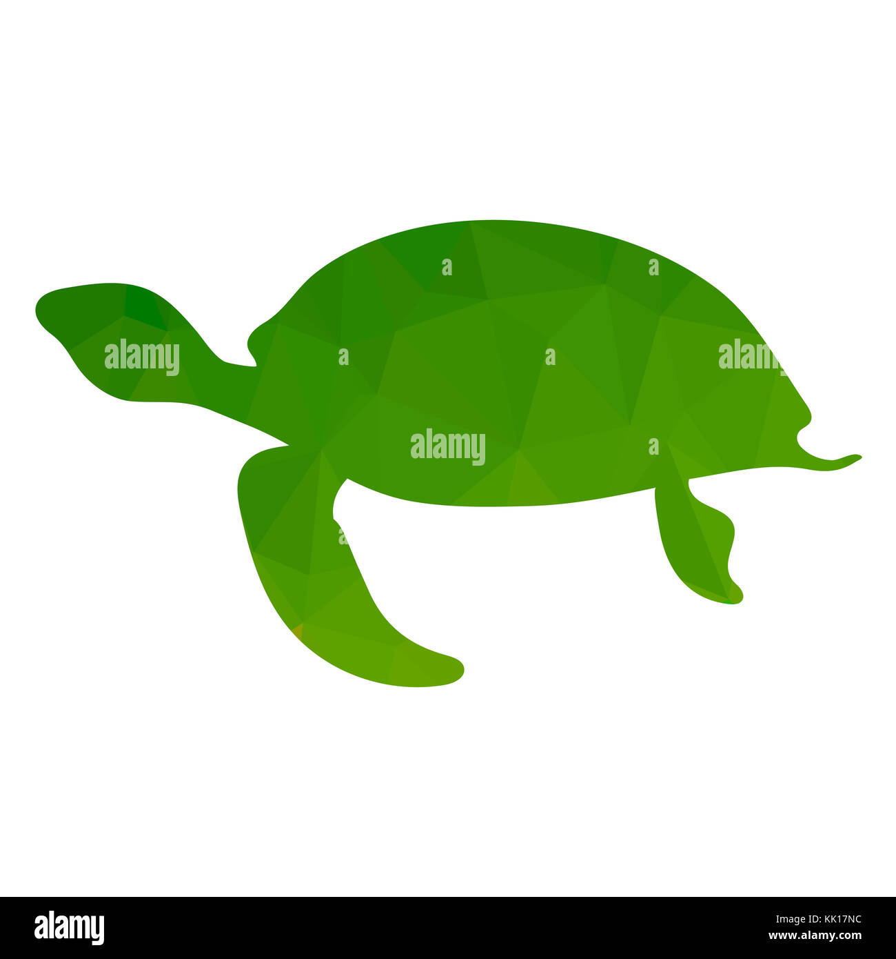 Ocean Green Turtle Icon Stock Photo - Alamy
