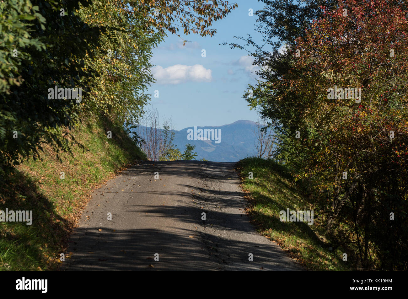 Asphalt road in the hills of Styria Stock Photo - Alamy