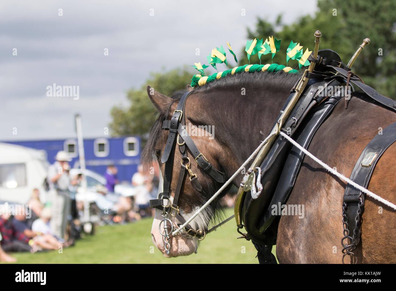 Heavy Pulling High Resolution Stock Photography and Images - Alamy