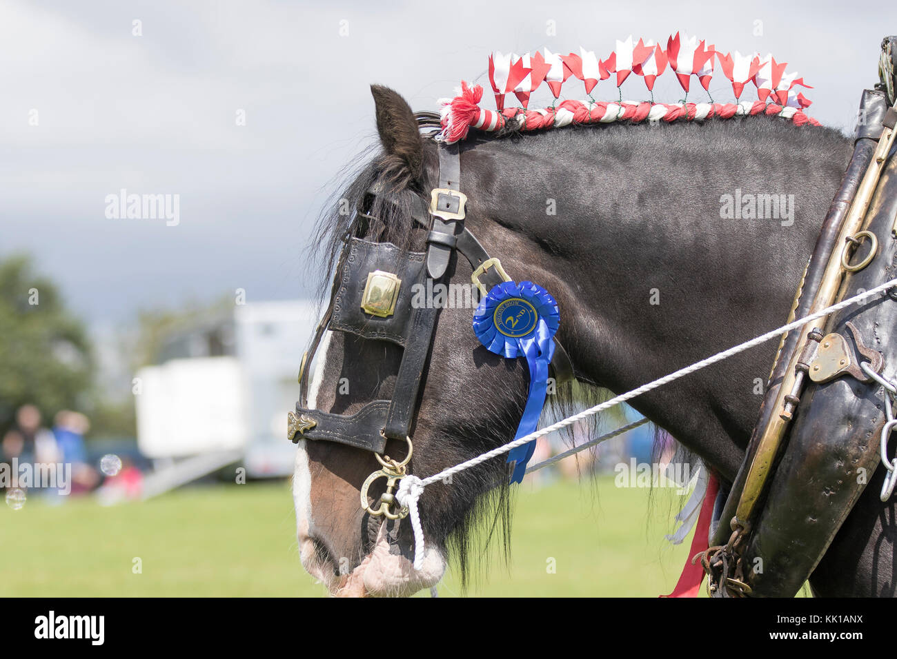 Old Horse Tack High Resolution Stock Photography and Images - Alamy