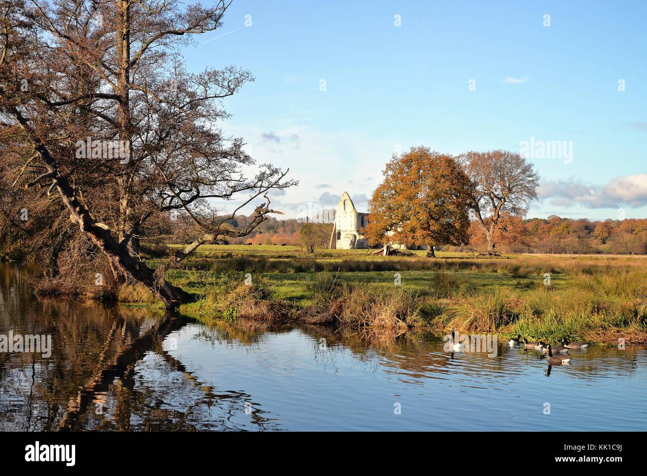 Newark abbey and the River Wey navigation Surrey England UK Stock Photo ...