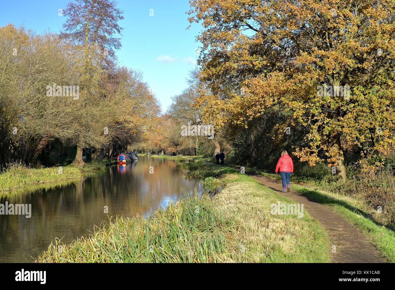 The River Wey navigation near Ripley Surrey England UK Stock Photo - Alamy