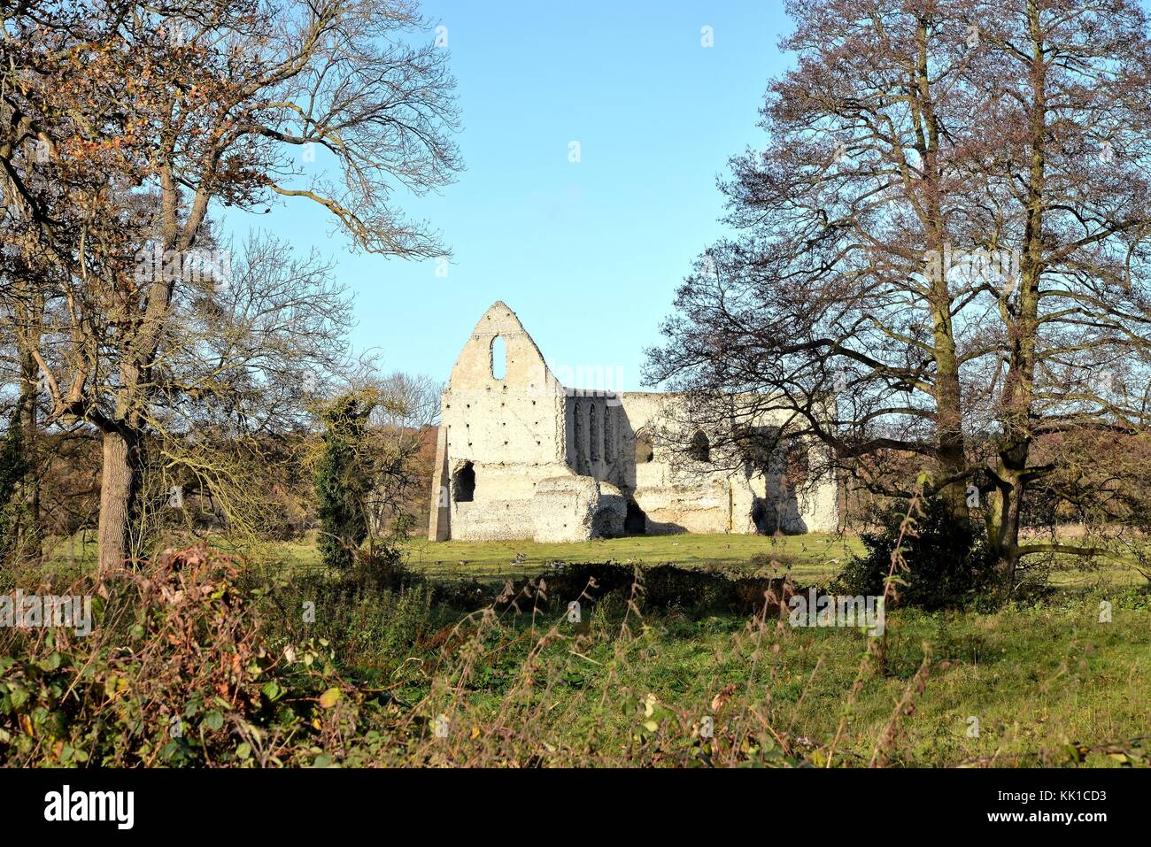 Newark abbey and the River Wey navigation Surrey England UK Stock Photo ...
