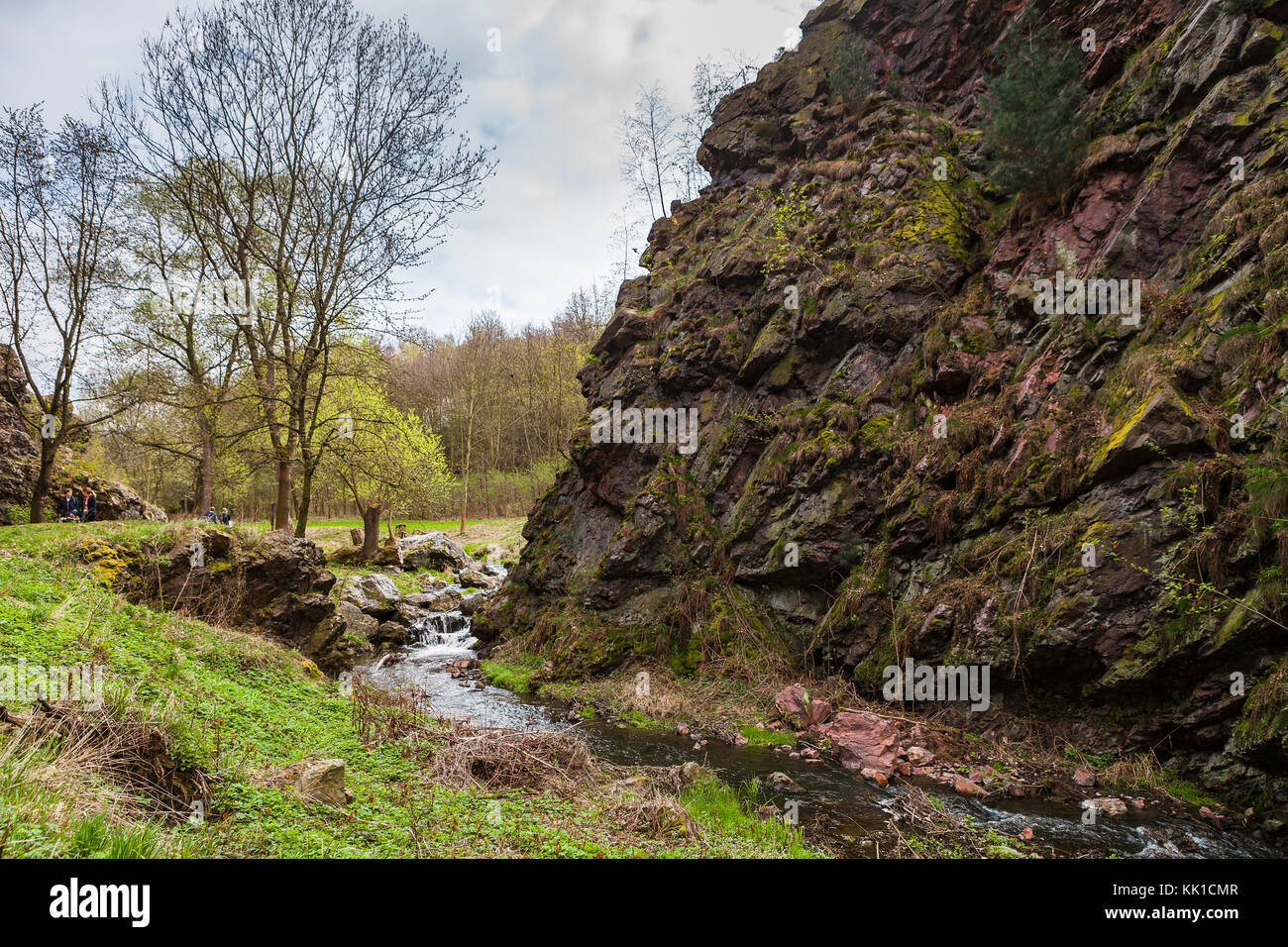 Rocks and small river of valley Divoka Sarka in Prague, spring time ...