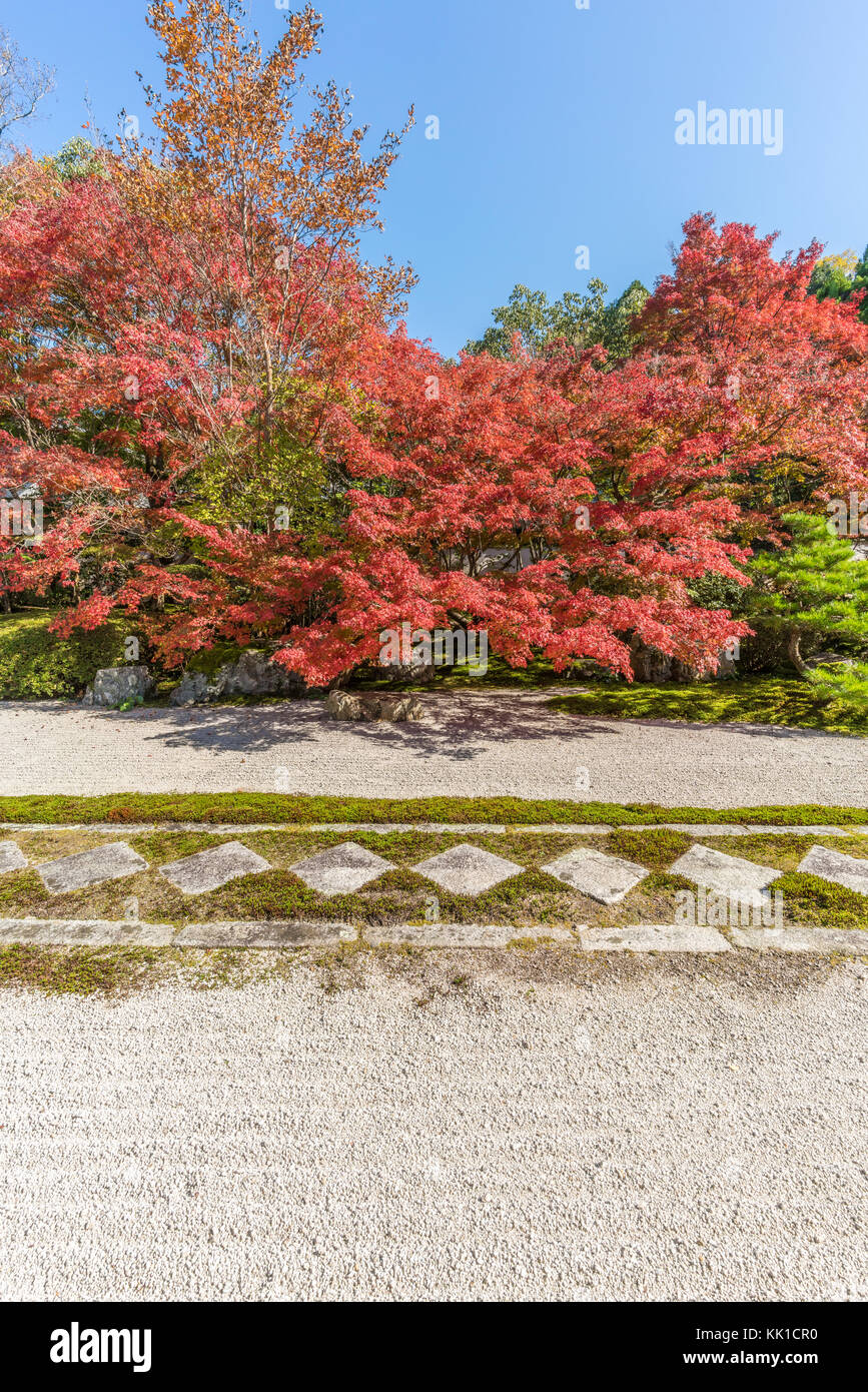 Autumn leaves Fall foliage at Tenjuan Temple raked gravel Rock Garden ...