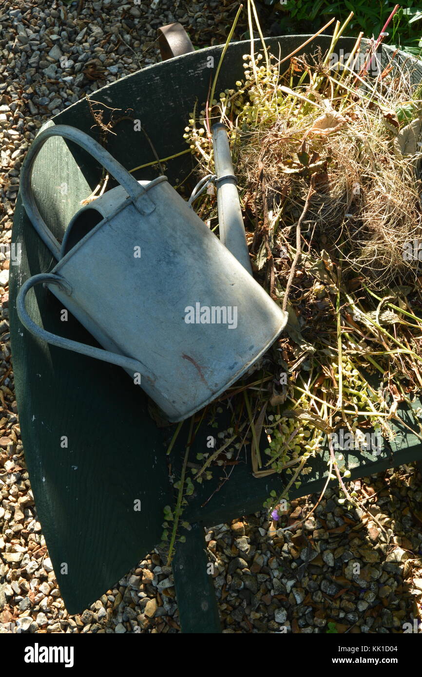 Old watering can in wheelbarrow Stock Photo - Alamy