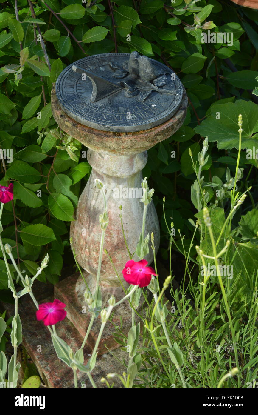 sundial amid flowers and plants Stock Photo - Alamy