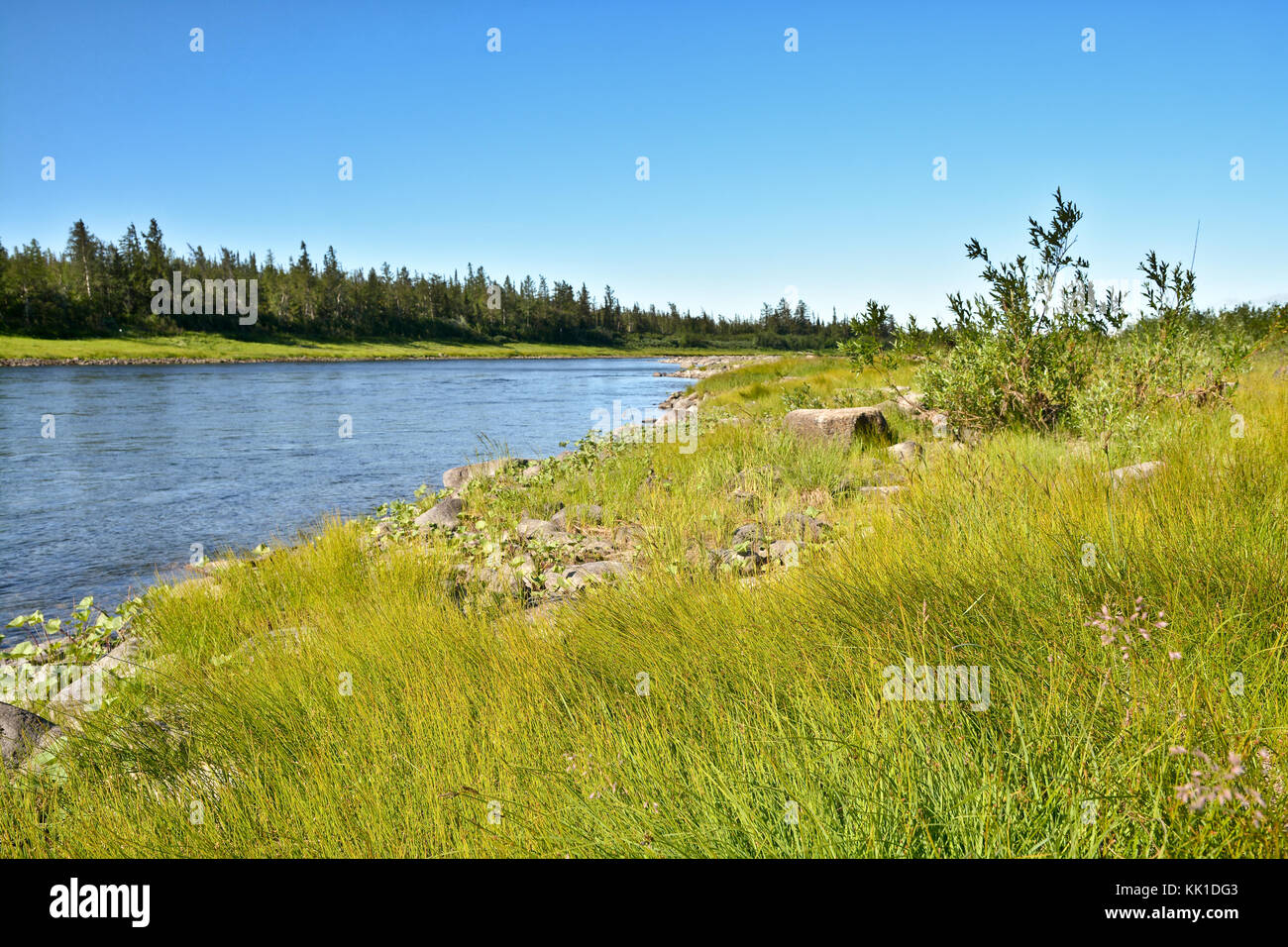 Summer in the Polar Urals, the river Sob. Northern water landscape ...