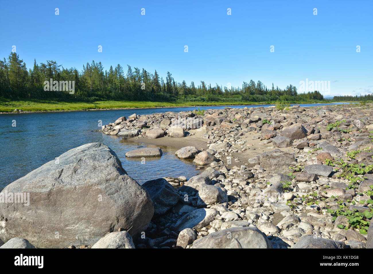 Summer in the Polar Urals, the river Sob. Northern water landscape ...