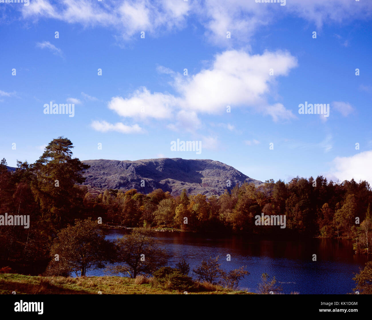 A view of Tarn Hows with The Old Man of Coniston and Wetherlam in the ...