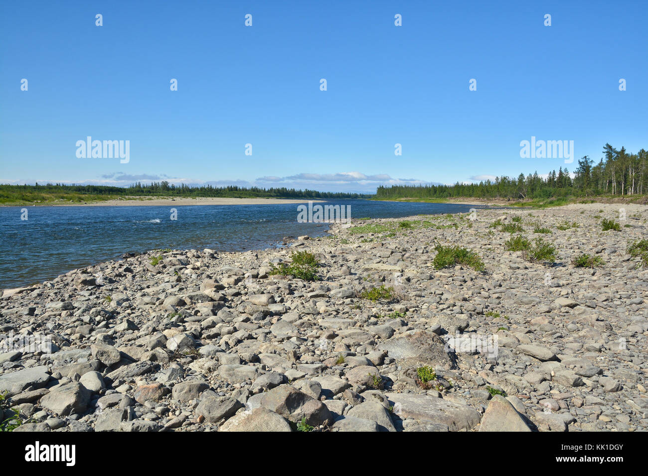 Summer in the Polar Urals, the river Sob. Northern water landscape ...