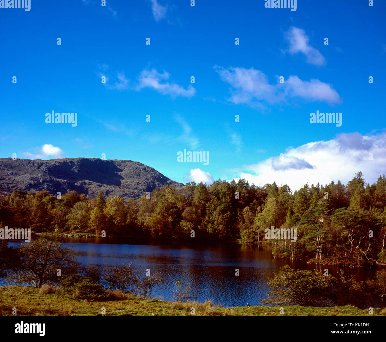 A view of Tarn Hows with The Old Man of Coniston and Wetherlam in the ...