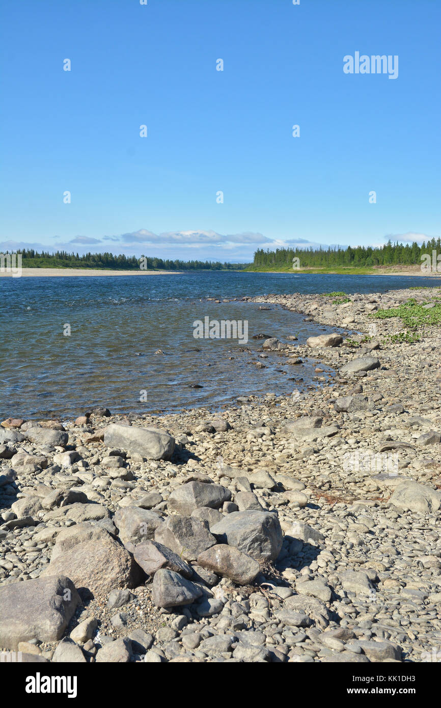 Summer in the Polar Urals, the river Sob. Northern water landscape ...