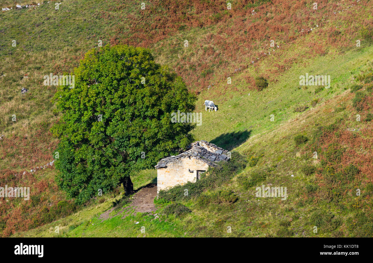 Miera Valley, Valles Pasiegos, Cantabria, Spain, Europe Stock Photo - Alamy