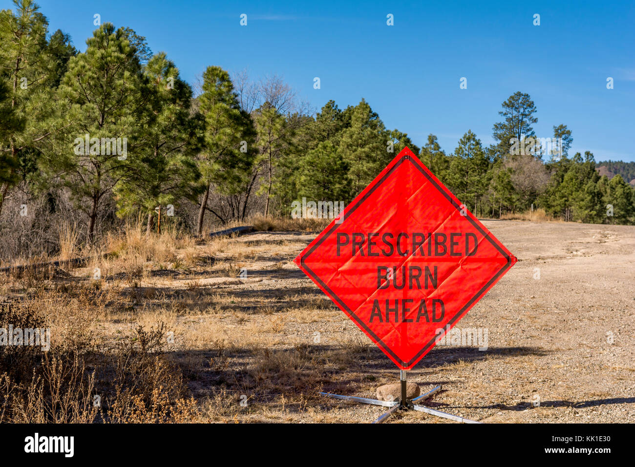 Prescribed Burn Ahead sign for forest fire prevention near pine trees ...