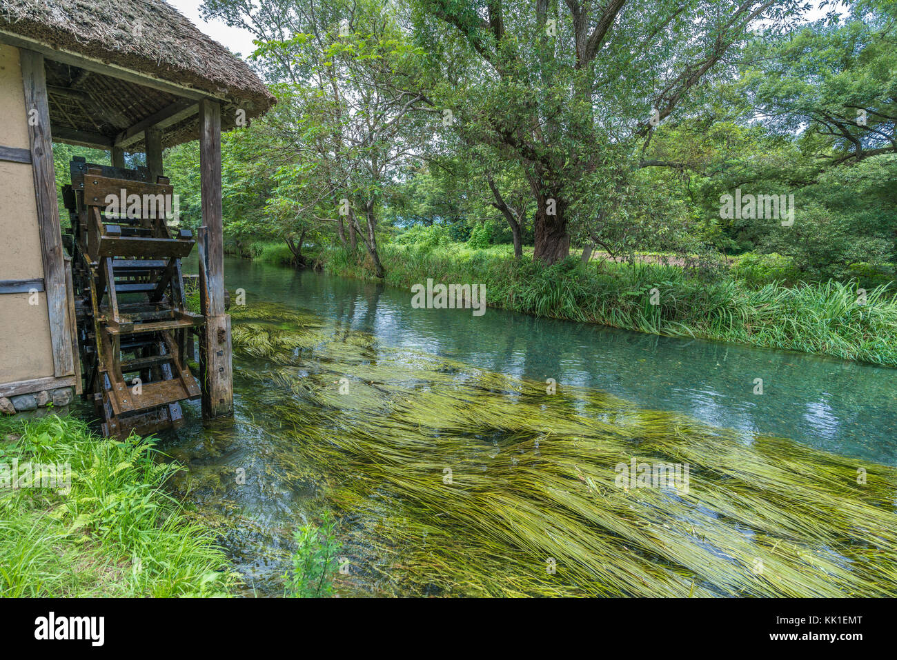 Watermill by Sai river (Sai-Gawa) near Daio Wasabi Farm in Azumino ...