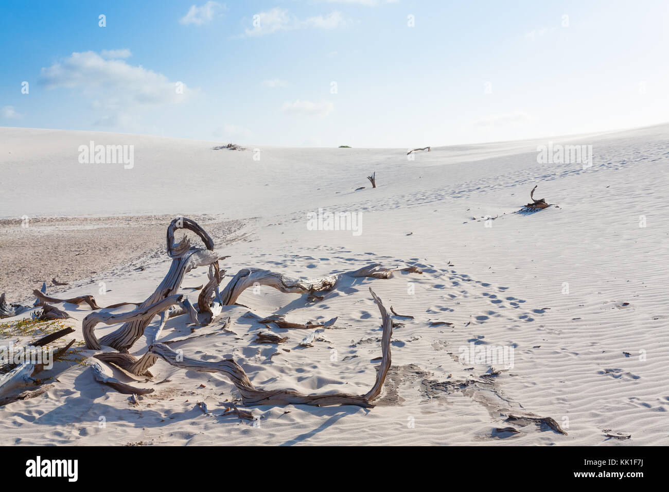 White sand dunes panorama from Lencois Maranhenses National Park ...