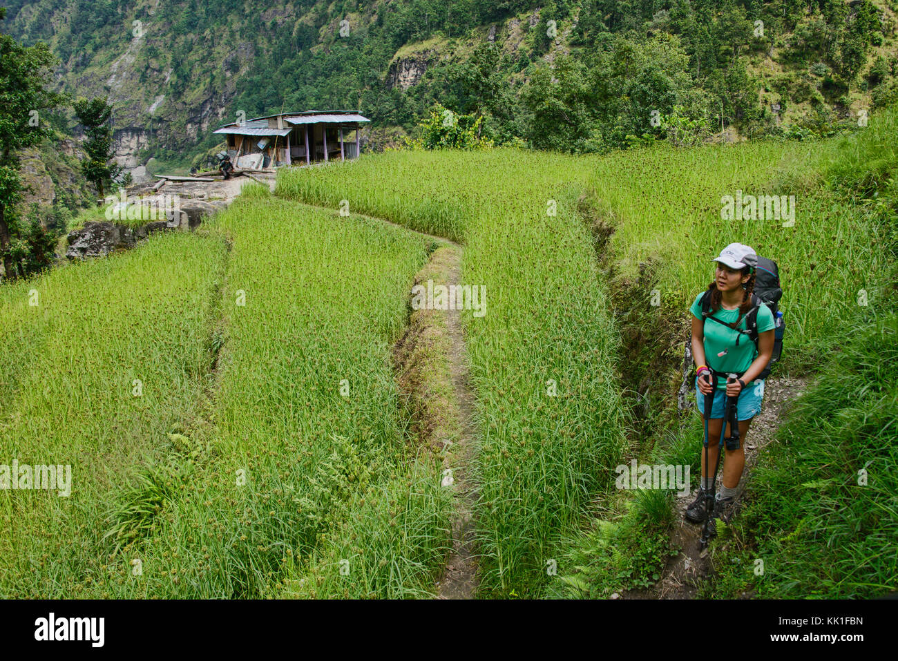 Trekking in the himalayan foothills hi-res stock photography and images ...