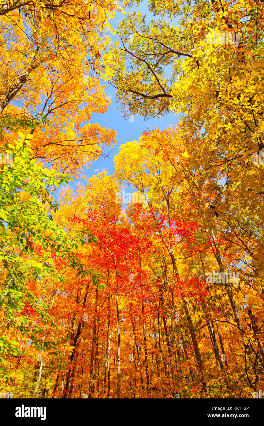 Nashville indiana hi-res stock photography and images - Alamy