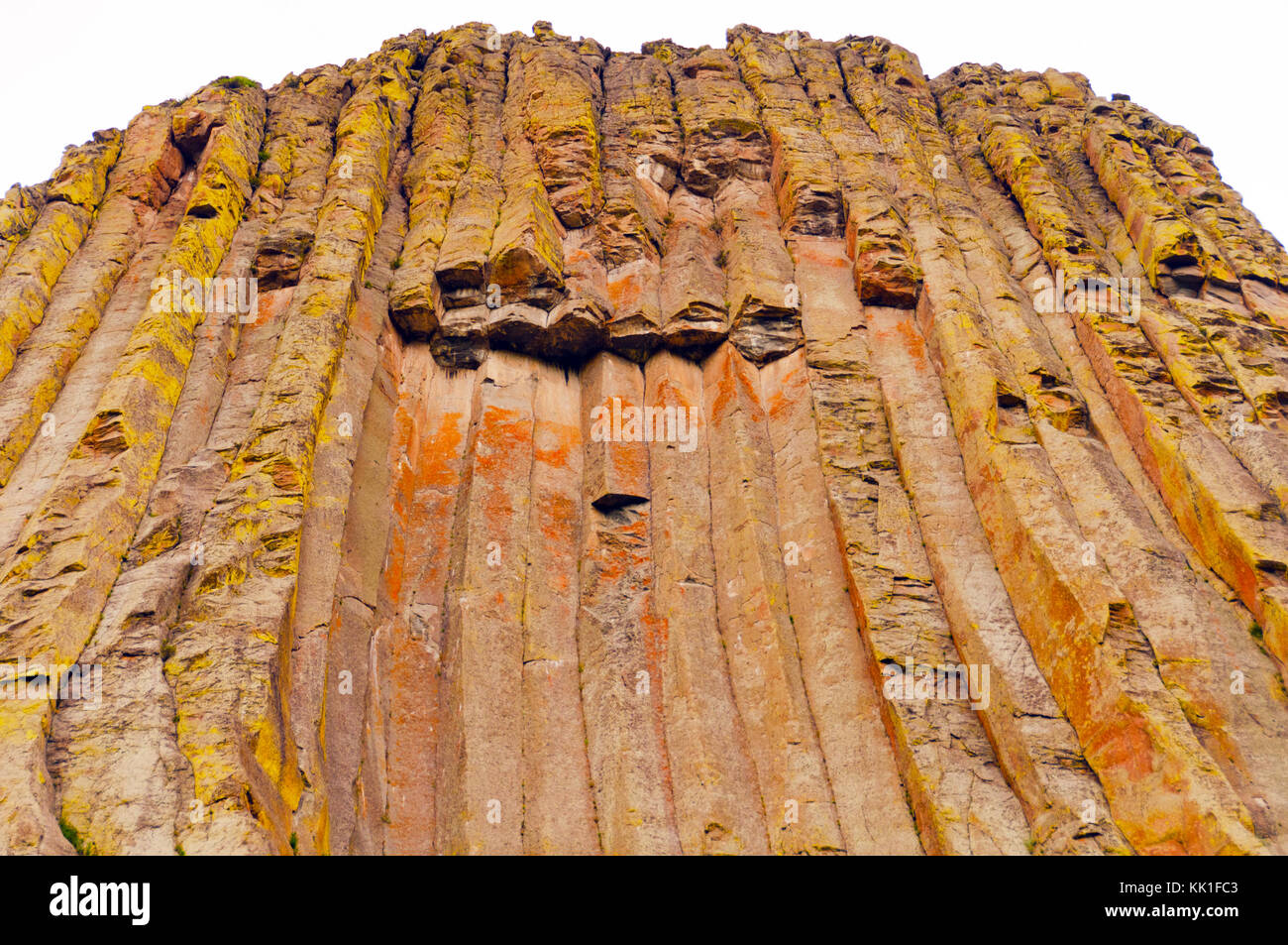 Basaltic Columns in Devils Tower in Wyoming Stock Photo - Alamy