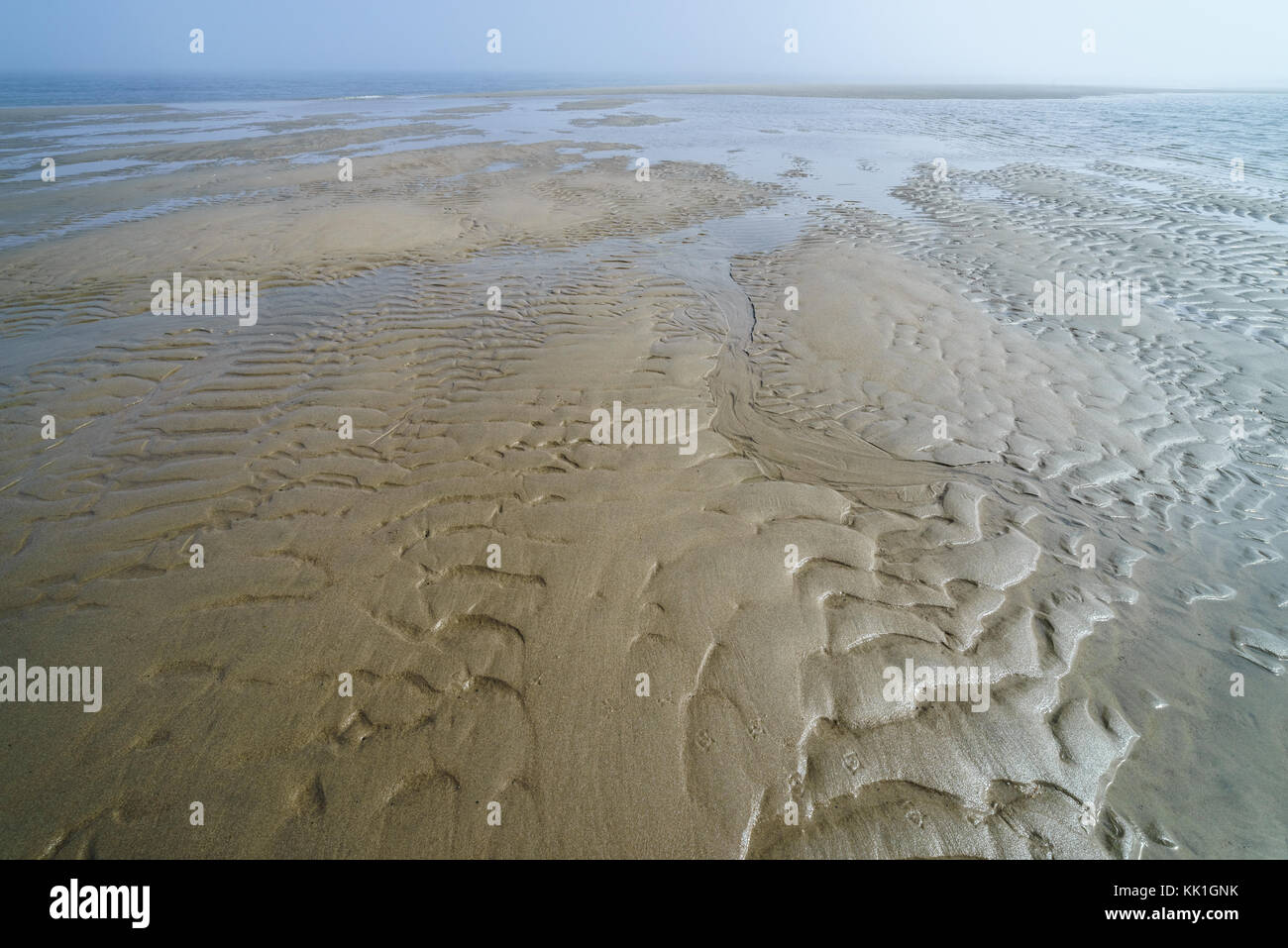 Sandy shore of the sea in the north of Sakhalin Island, Russia ...